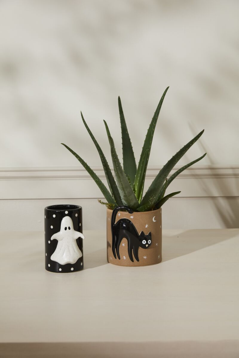 Witching Hour – Little Red Barn Door